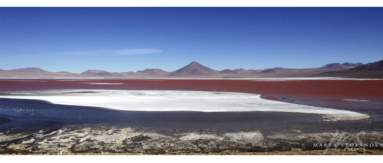 Bolivian Landscape