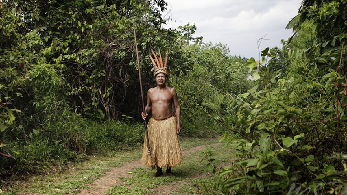 Amazon Rainforest Tribes Girls